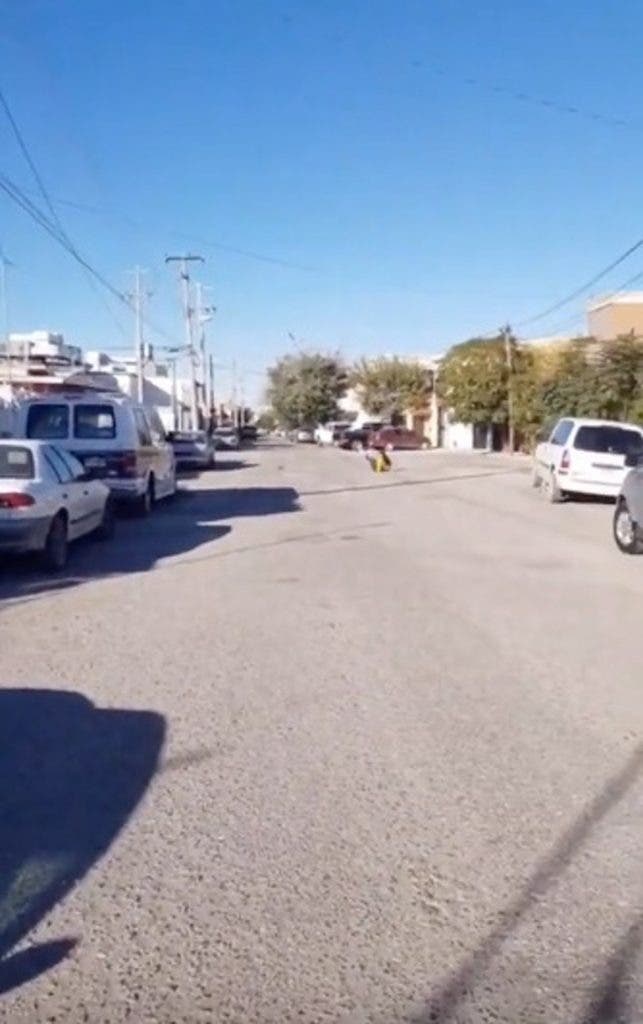 Ni la distancia la libró del "chancletazo" de su mamá... No contó con ...