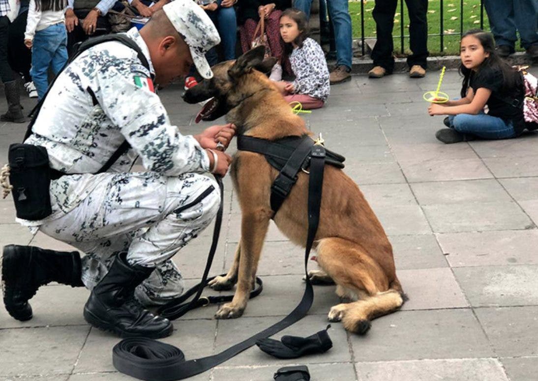 La policía les dedica un homenaje a los perros rescatistas en el Día ...