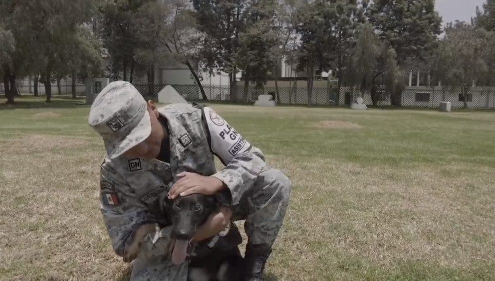 La policía les dedica un homenaje a los perros rescatistas en el Día ...